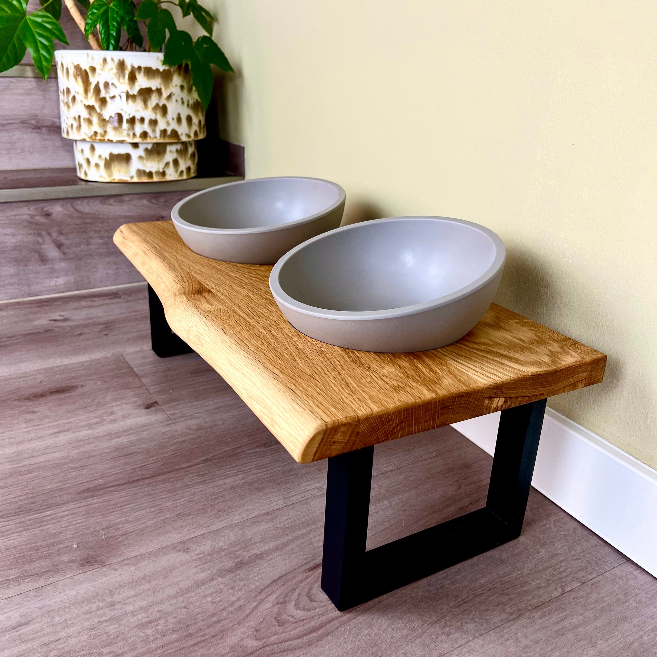 Handgefertigte Möbel und Futterstationen für Hunde und Katzen – Design ...